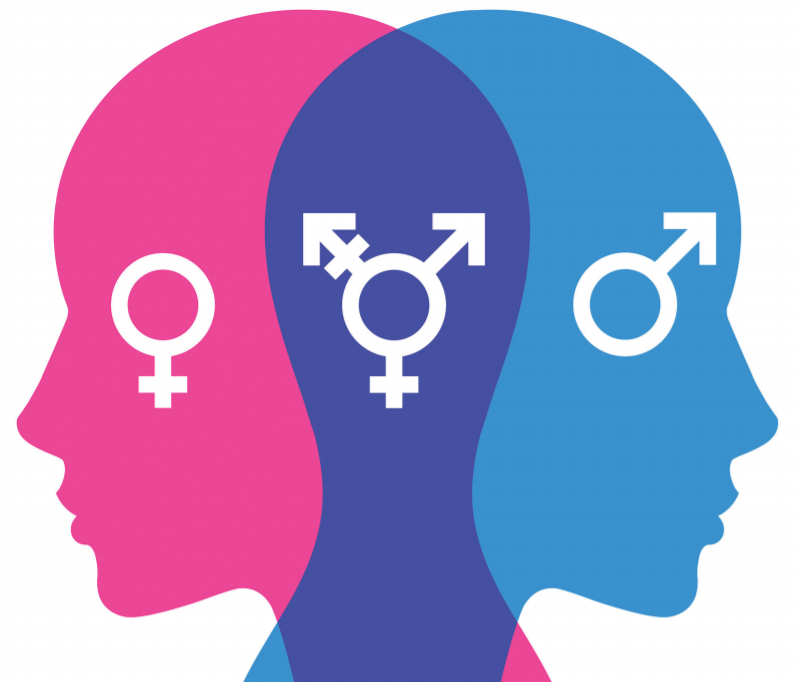 The Corrosive Impact of Transgender Ideology