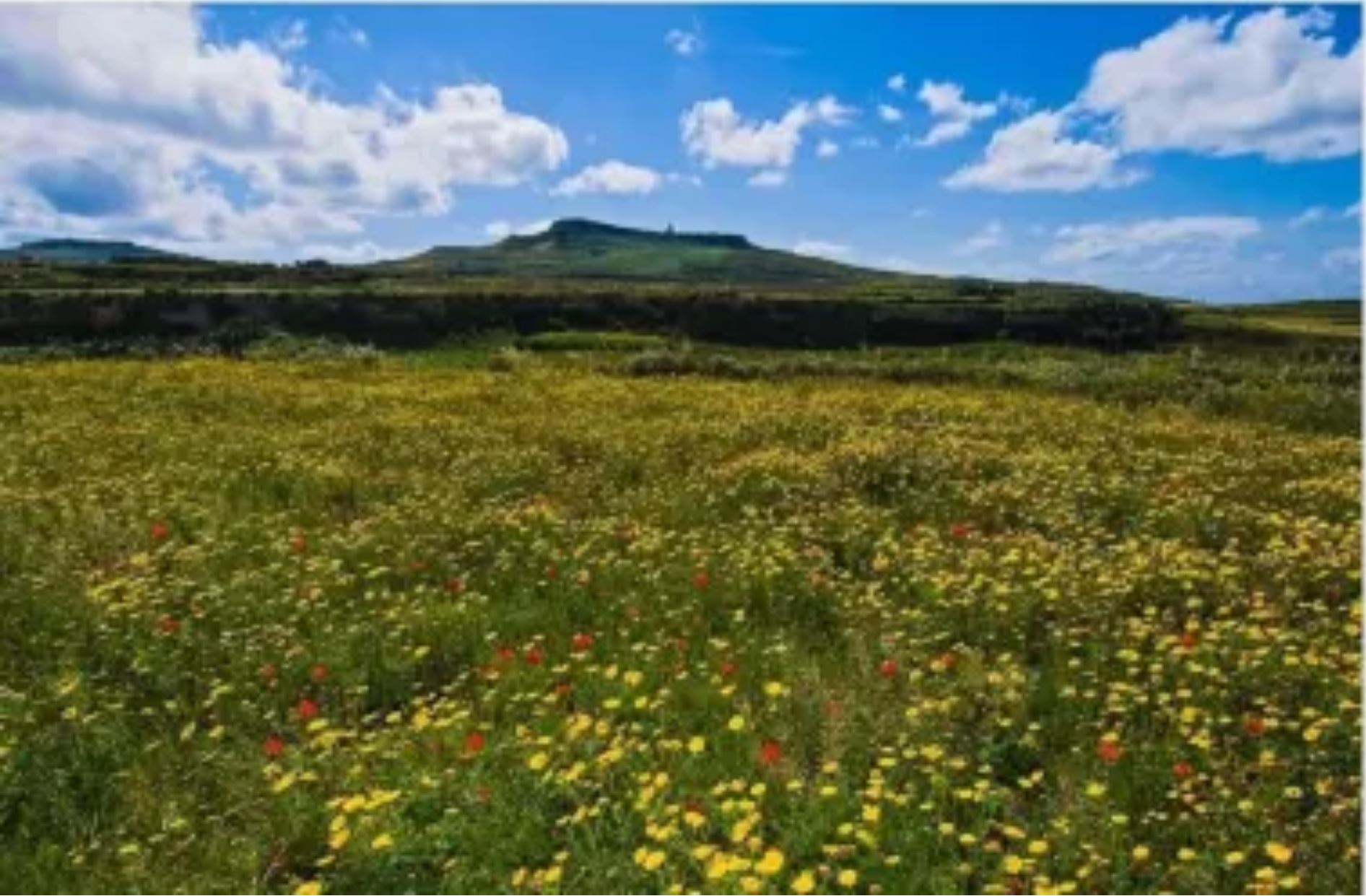 Ghawdex-Samuel-Azzopardi