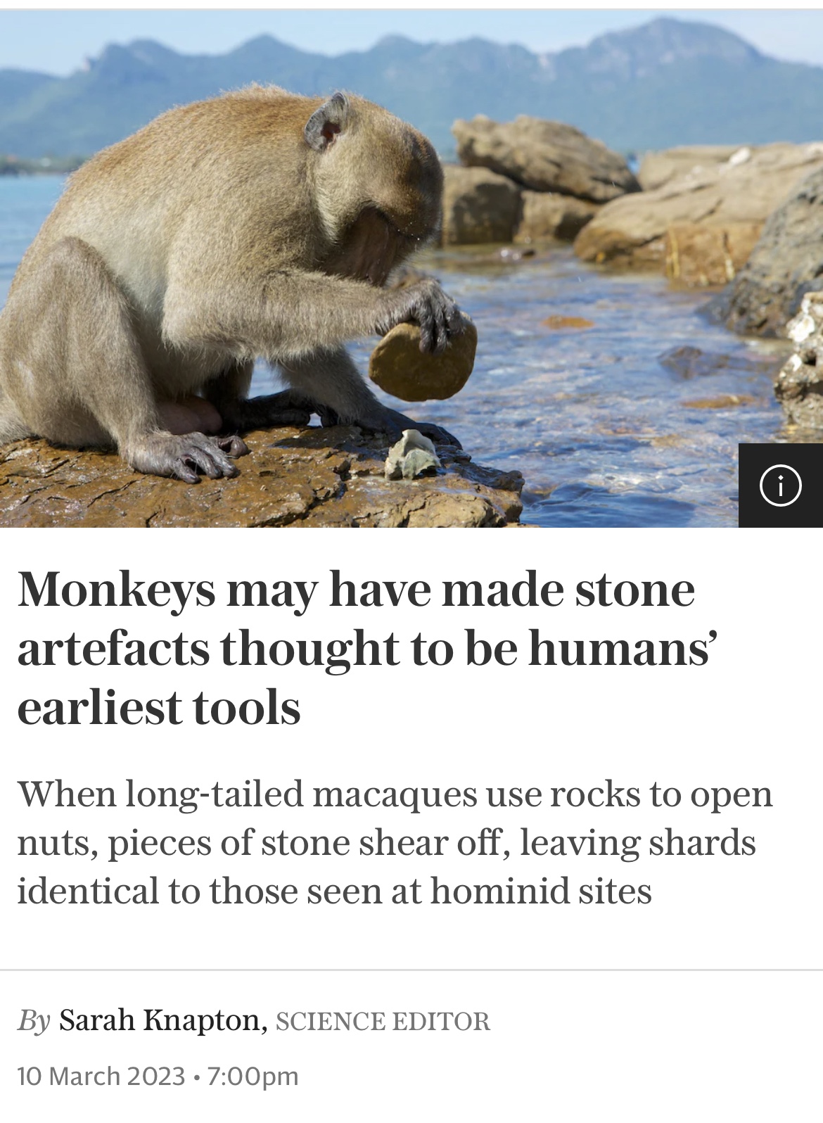 New Scientific research about the creators of the first stone tools